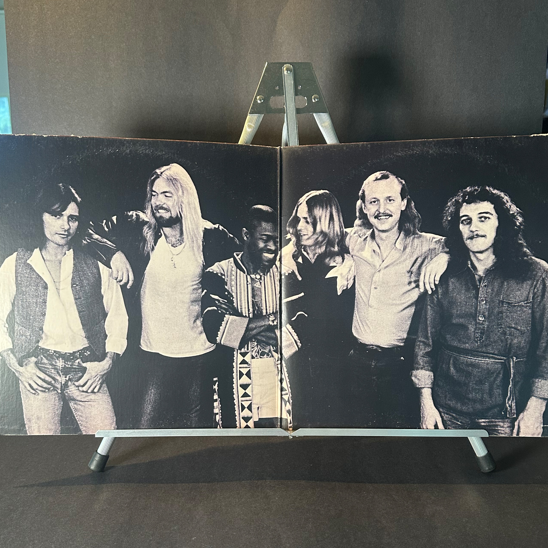 The Allman Brothers Band – Enlightened Rogues - The AM Project