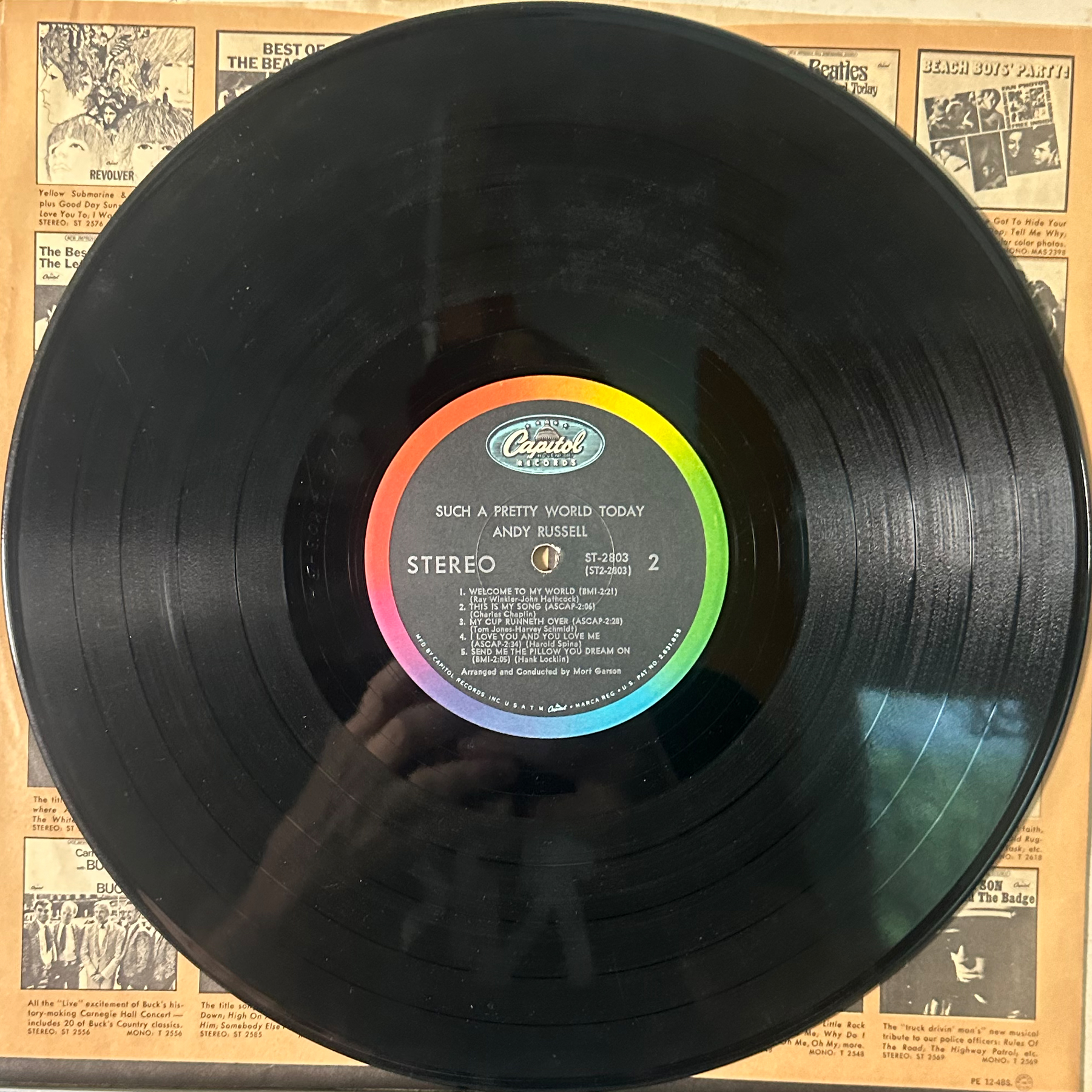 Andy Russell – Such A Pretty World Today - The AM Project